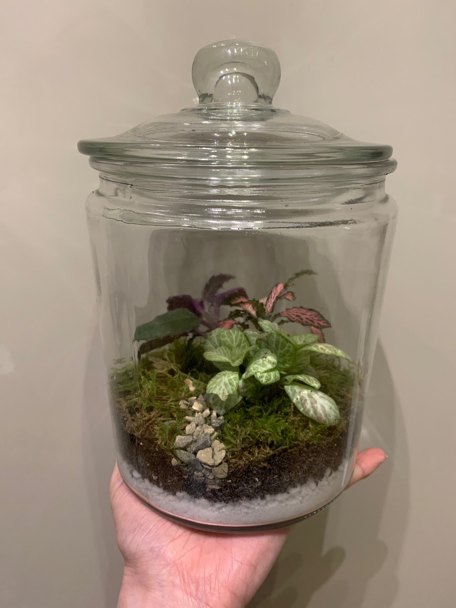 Bioactive Terrarium Workshop (14th Feb) Intro to Closed Ecosystems ...