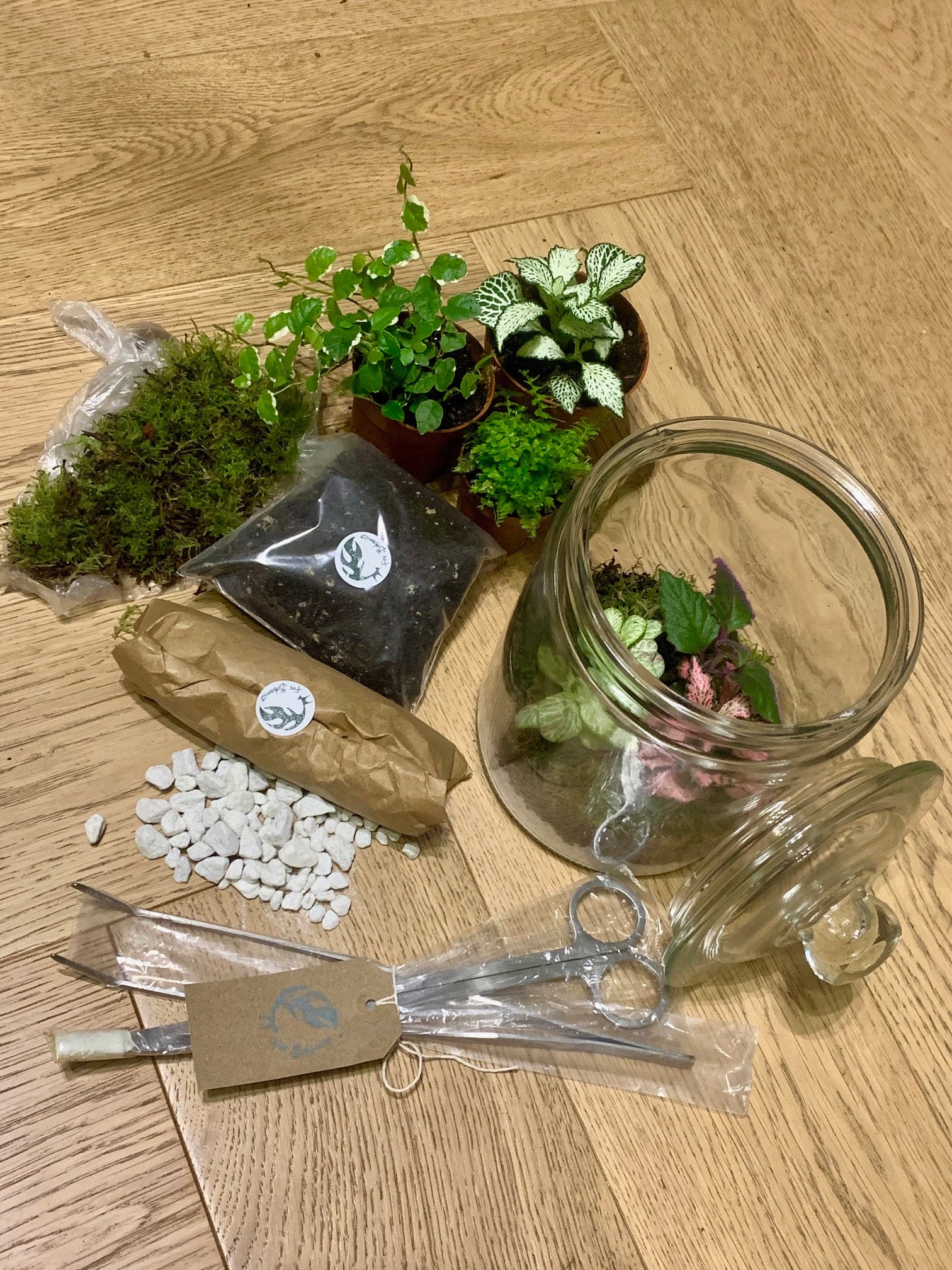 Full Terrarium kit with professional tools | Fox Botanics
