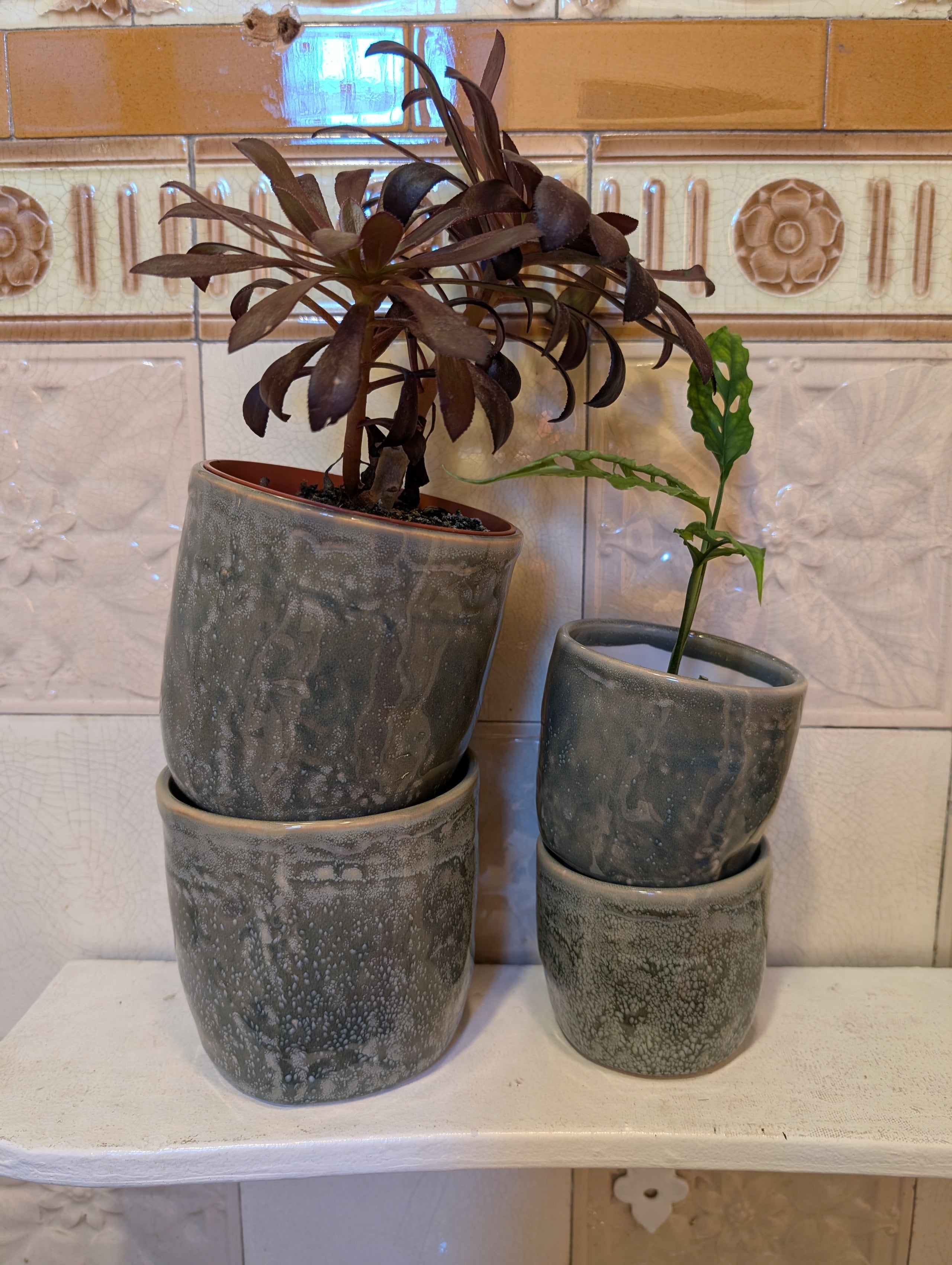 Light Blue Glazed Pot | Fox Botanics